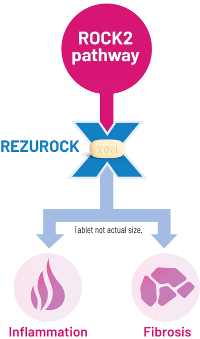 How REZUROCK Works Differently | REZUROCK® (belumosudil) 200-mg Tablet