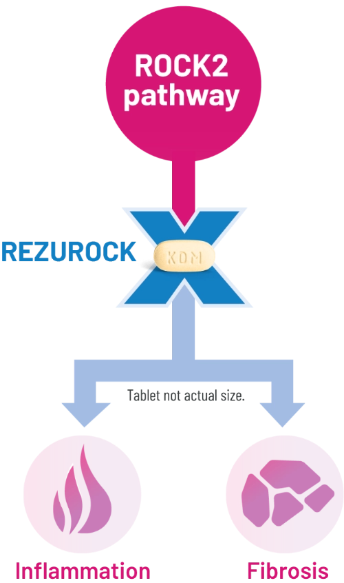 How REZUROCK Works Differently | REZUROCK® (belumosudil) 200-mg Tablet