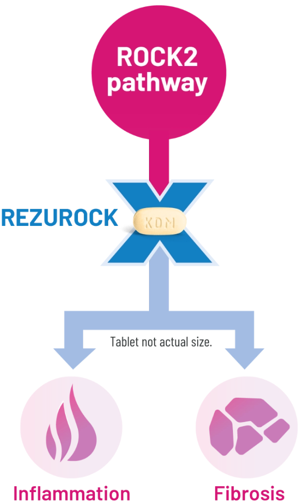 How REZUROCK Works Differently | REZUROCK® (belumosudil) 200-mg Tablet